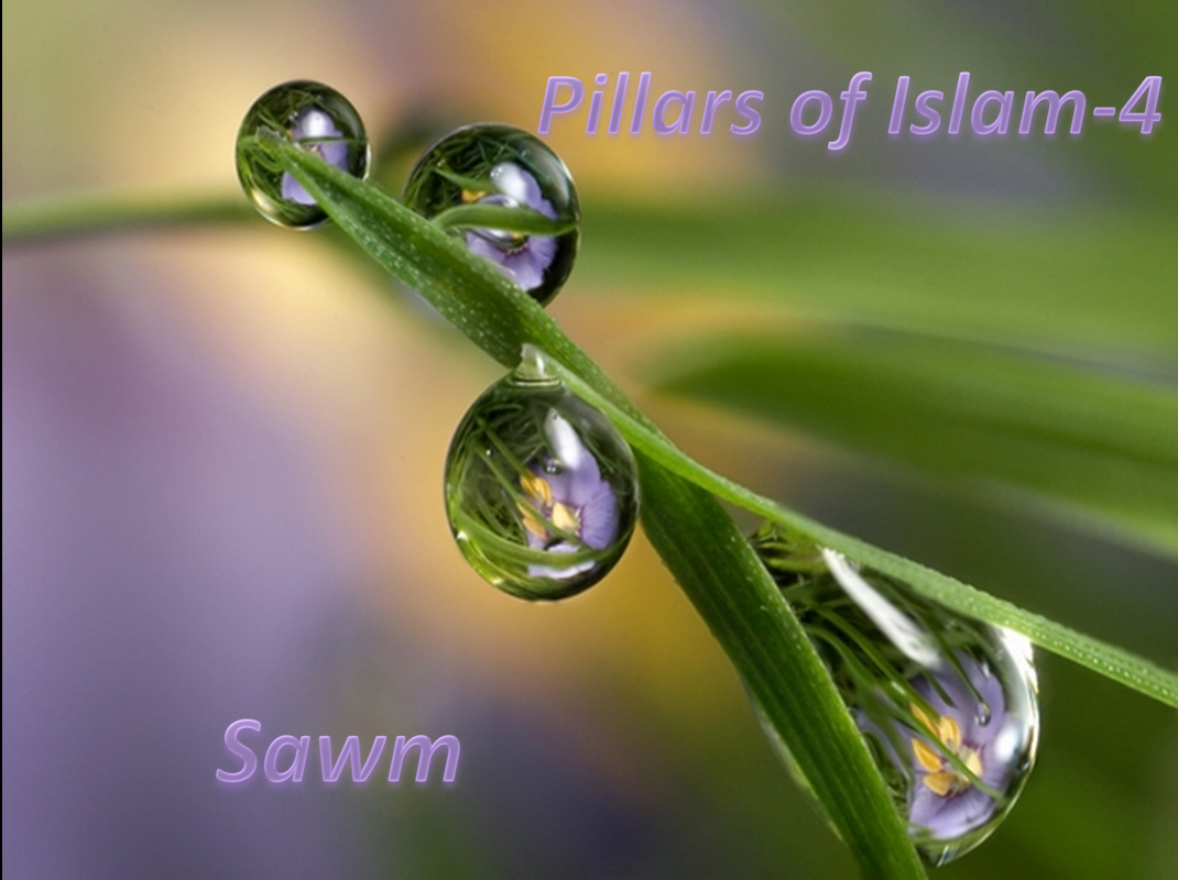 Sawm (Fasting) – Happy Land