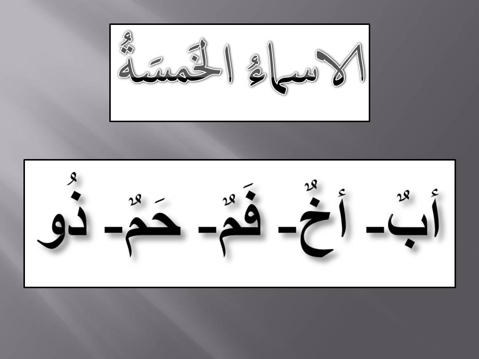 Madinah Arabic Book 1- Lesson10- Intro to Special Nouns – Happy Land ...