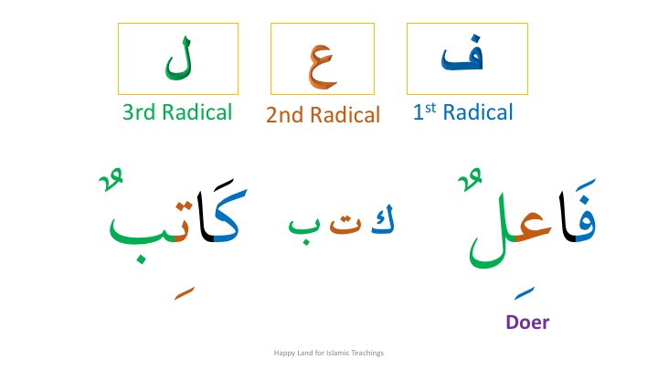 Roots and Patterns in Arabic – Happy Land For Islamic Teachings