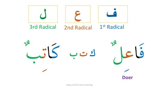Roots and Patterns in Arabic – Happy Land For Islamic Teachings